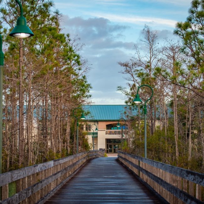 FCIE Annual Conference 2024 – FCIE